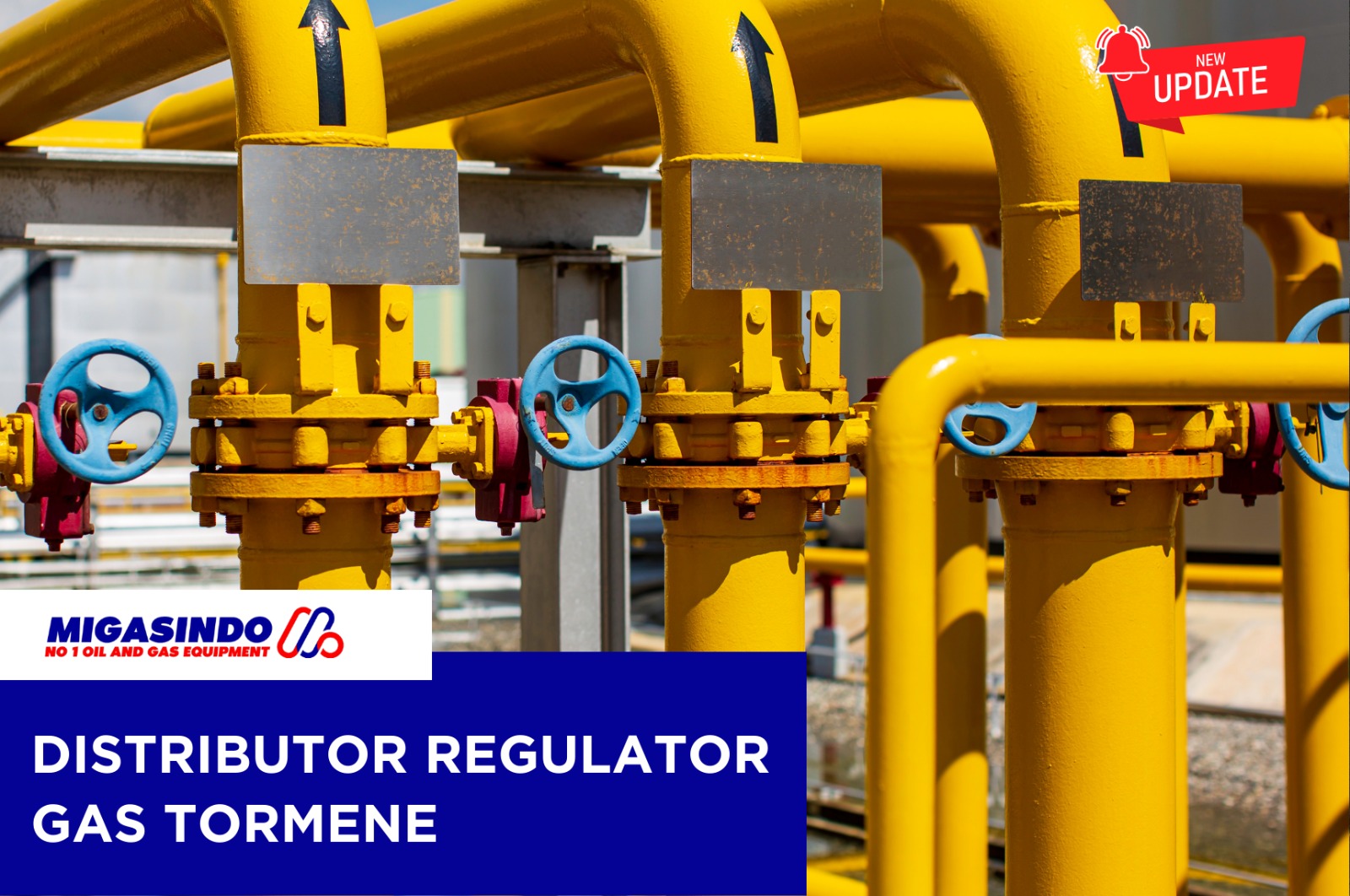 Distributor Regulator Gas Tormene - MIGASINDO