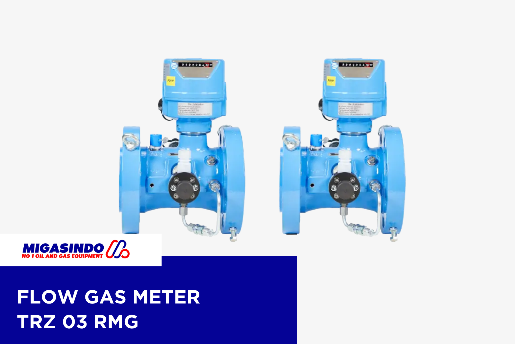 Jual Flow Gas Meter TRZ 03 RMG - MIGASINDO